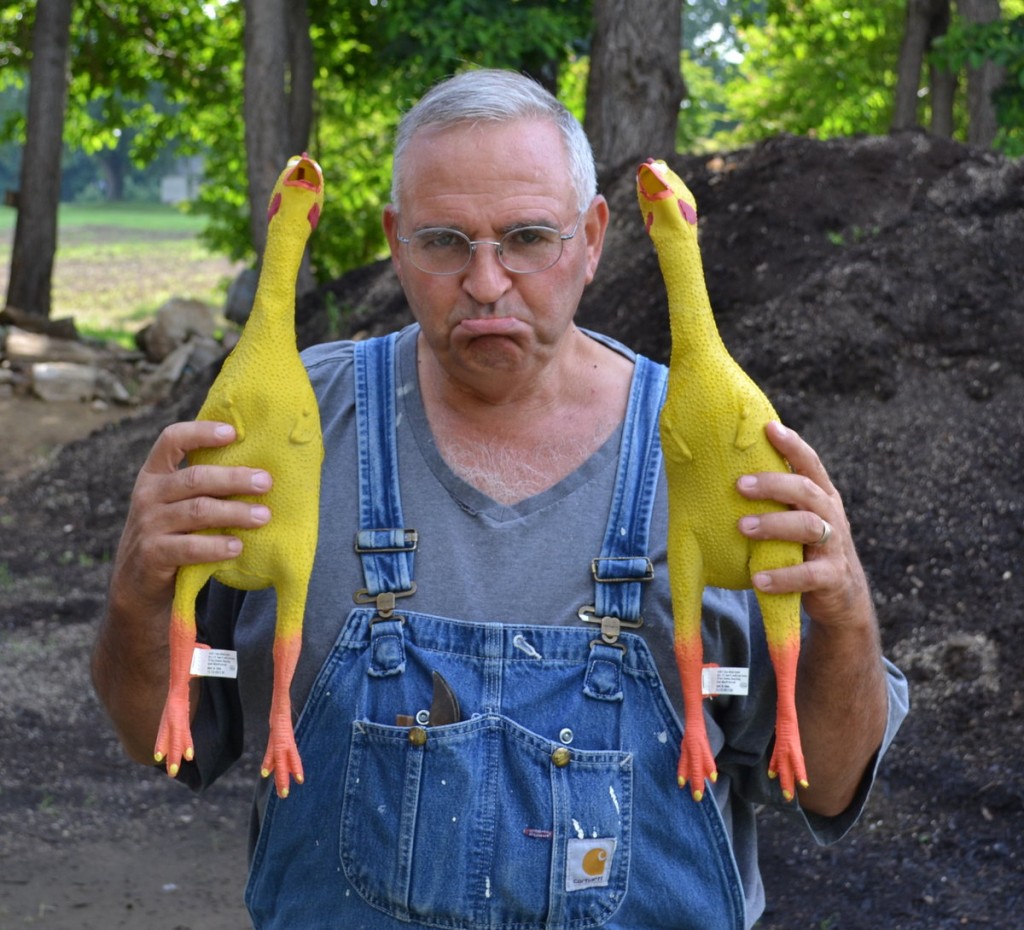 Mike McGroarty Gets Slammed by a Subscriber. - Mike's Backyard Nursery