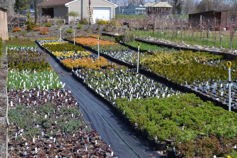 Offering Landscape Design, Landscape Consultation to Your Nursery ...