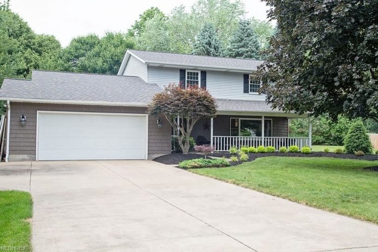 How To Prune An Overgrown Japanese Maple Tree - Mike's Backyard Nursery